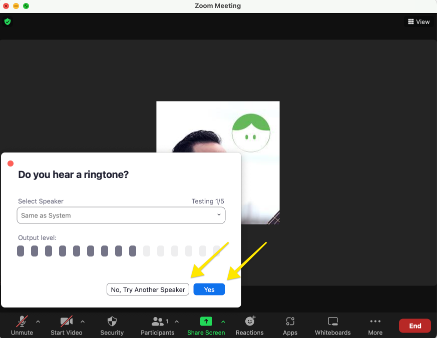Zoom Speaker and Microphone Test | Lessonface