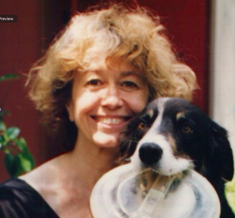 A Deeper Look at the Genetics of Sheep Color | Lessonface