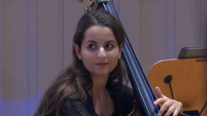 Margarida Castro | Lessonface