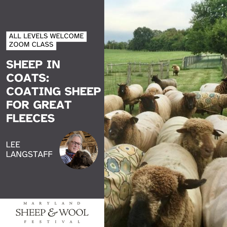 SHEEP IN COATS: Coating Sheep for Great Fleeces | Lessonface