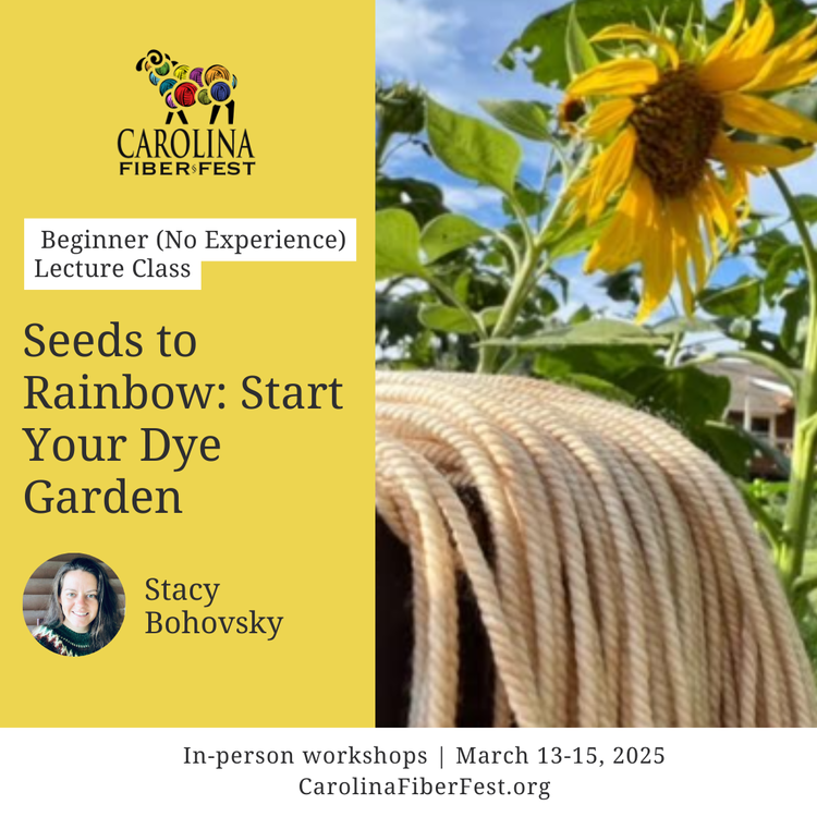 Seeds to Rainbow: Start Your Dye Garden | Lessonface