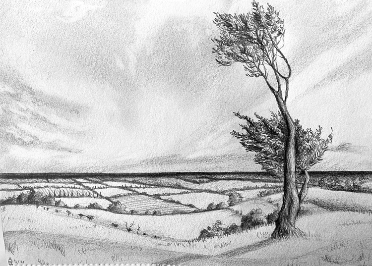 Drawing a Landscape | Lessonface