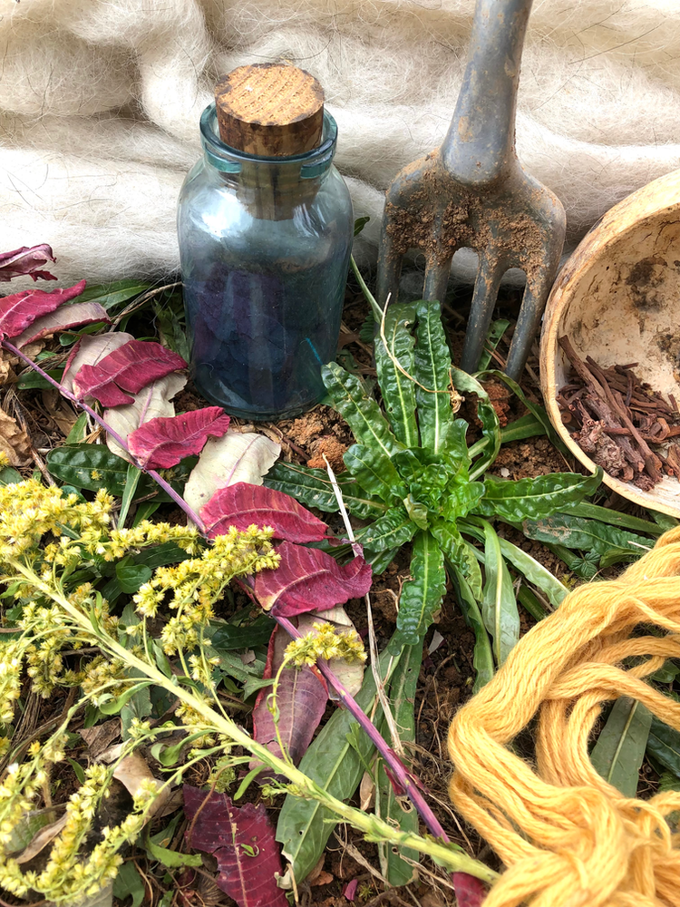 Gardening and Foraging Natural Pigments for Dyes & Paint with Pat ...