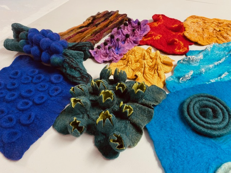 Memory of Felt | Lessonface