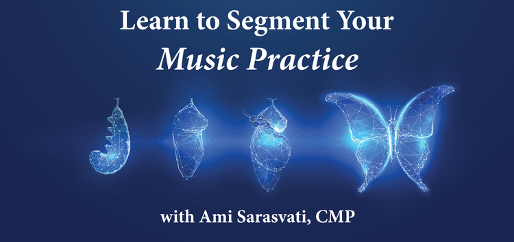Learn to Segment Your Music Practice | Lessonface