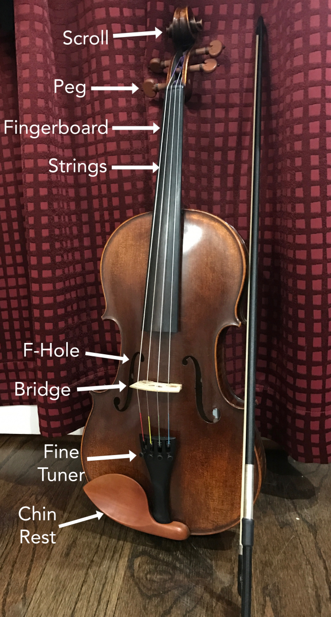 How to Prepare for Your First Violin Lesson | Lessonface