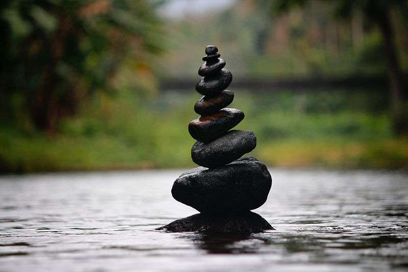 The Nature of Progress | Lessonface
